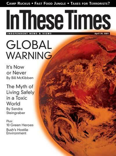Global Warming - In These Times