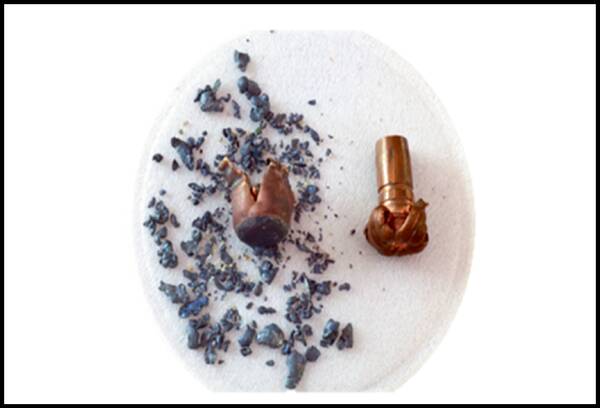 Can Hunters and Activists Team Up to Phase Out Lead Bullets? - In These ...